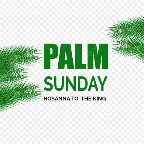 종려 주일 디자인 부활절 식물 장식 Png 일러스트 및 벡터 에 대한 무료 다운로드 Pngtree