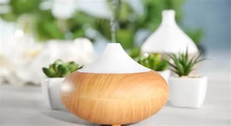 What Can I Put In My Diffuser Besides Oil Top 4 Picks