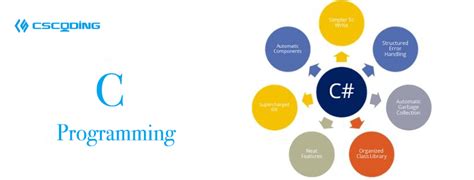 C Programming Assignment Help