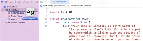 SwiftUI 入门 文字的处理 精通 SwiftUI iOS 版