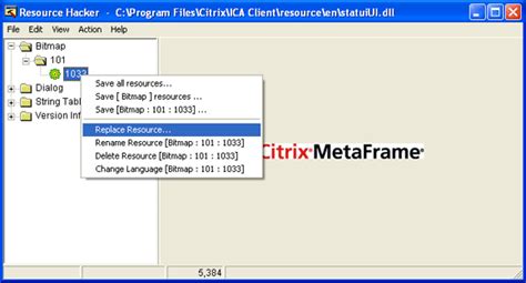 Branding The Citrix ICA Client JasonConger Com