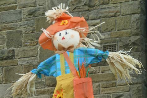 Man Found Dead After Having Sex With Scarecrow Using Strap On Toy London Evening Standard