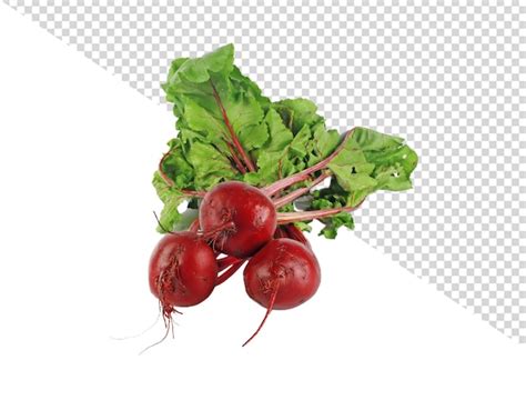 비트 뿌리 Png 프리미엄 Psd 파일
