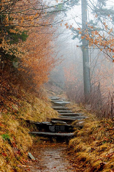 烟雾缭绕的山间的小路