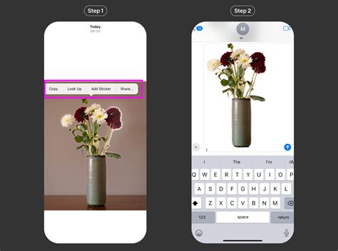 How To Remove The Background From An Image On An IPhone Photoroom