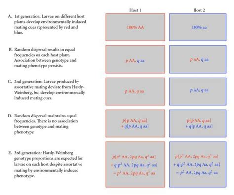 Free Gene Flow Despite Assortative Mating If Mating Cues Are Download Scientific Diagram