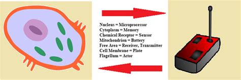 Elements Of A Biological Cell And Components Of A Typical IoT Device Download Scientific Diagram