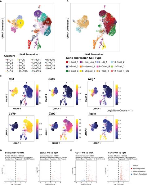 Xist Ribonucleoproteins Promote Female Sex Biased Autoimmunity Cell
