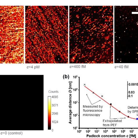 A Fluorescence Microscopy Observation Of The Fluorescence Signal From
