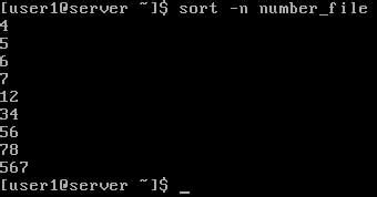 How To Use The Sort Command In Linux