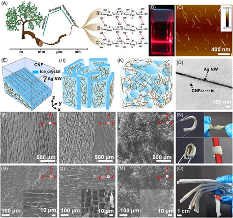 A Schematic Of The Cellulose Nanofibril Cnf Preparation Process Download Scientific