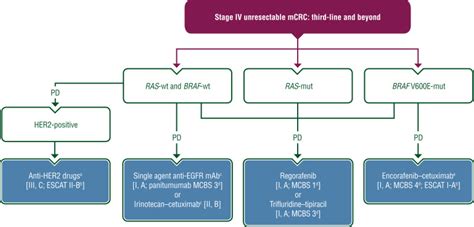 Metastatic Colorectal Cancer Esmo Clinical Practice Guideline For Diagnosis Treatment And