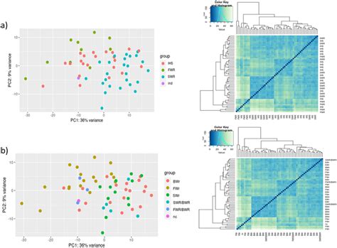 Principal Component Analysis Pca Left And Heatmap Right For The