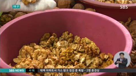 호두의 효능 두뇌능력 높여수험생도 관심