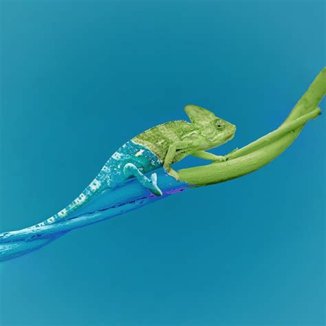 Title The Power Of Adaptability Thriving In A Dynamic Workforce