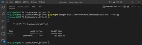 Python Playwrightで自動テストしてみよう DOEStarian Blog