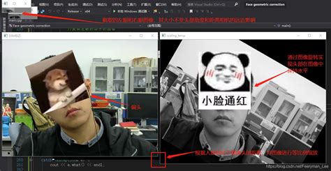 【opencv dlib】c 实现人脸几何矫正（保持头部水平且大小固定）原理 源码 opencv dlib c csdn博客