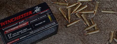 Varmint He Winchester Ammunition