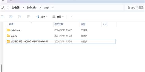 Oracle 19c补丁升级（windows）oraclewin如何升级补丁 Csdn博客