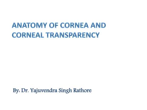Anatomy Of Cornea And Sclera Pptx