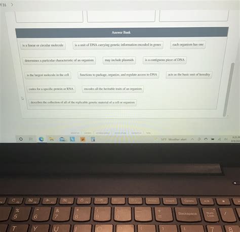 solved classify each statement as describing a gene