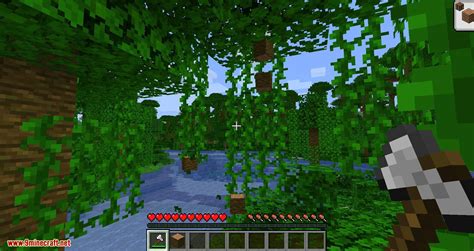 Pizzaatimes Timber Mod 1 18 2 1 17 1 One Block Chop Many Tree Drop Mc Mod Net