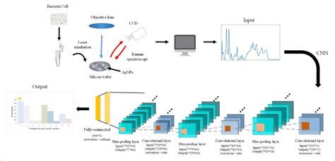 Schematic Illustration Of Convolutional Neural Network Cnn Data Download Scientific Diagram