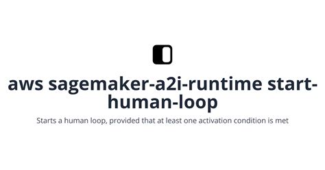 aws sagemaker a2i runtime start human loop fig