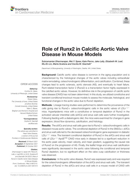 Pdf Role Of Runx2 In Calcific Aortic Valve Disease In Mouse Models