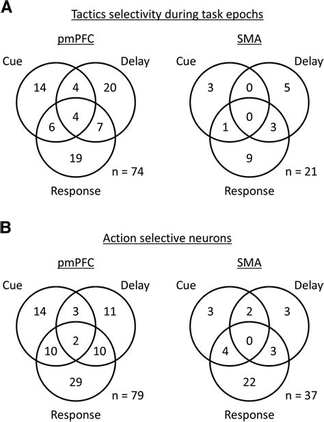 A Occurrences Of Tactics Selective Activity During The Behavioral Download Scientific Diagram