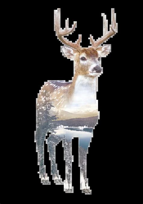 عکس های Png و زیبا هنری گوزن Deer دوربری شده و بدون زمینه
