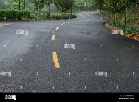 Road With Trees On Both Sides Stock Photo Alamy