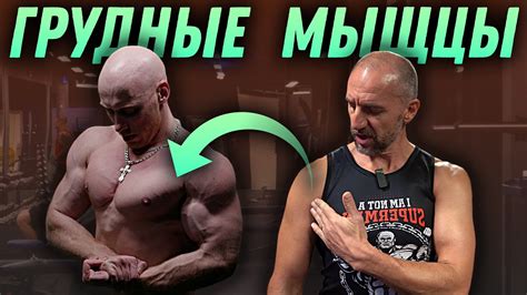 ГРУДНЫЕ мышцы ТОП упражнений Научный подход Youtube