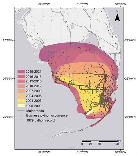 Florida Pays Python Hunters To Clear The Everglades Ten Years Later