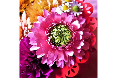 Gerbera Pomponi · Creative Fabrica