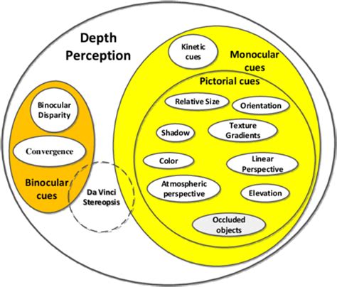 Perception Flashcards Quizlet