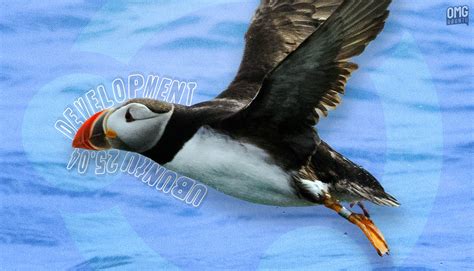 您现在可以下载 ubuntu 25 04 的每日版本