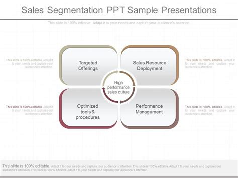 View Sales Segmentation Ppt Sample Presentations Powerpoint