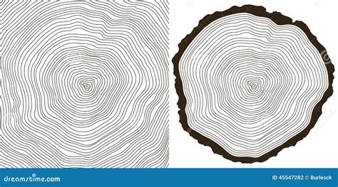 Tree Rings Stock Vector Illustration Of Natural Ring 45547282