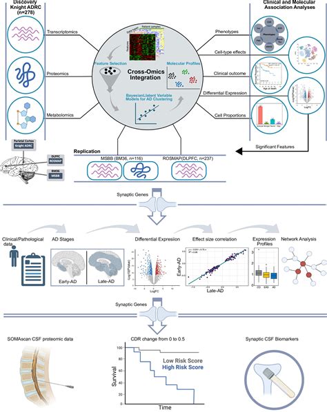 Multi Omics Analysis Identifies Molecularly Defined Alzheimers Disease Subtypes Ceresync