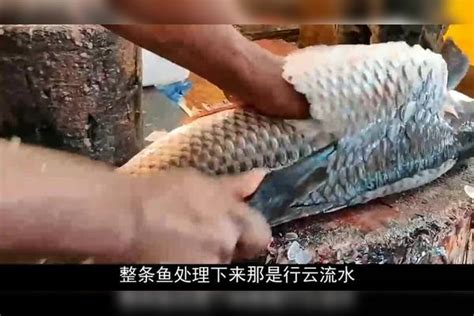 小伙切鱼从不刮鳞，一刀一刀像削果皮，治好了我多年的强迫症！鱼从果皮小伙