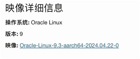 Oracle Cloud 通过替换引导卷来重装操作系统 蓝皮书的自留地