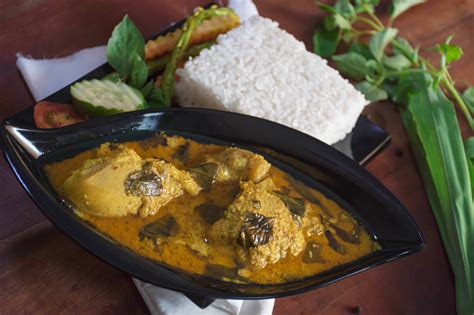 닭 바 질의 다른 보기는 허브와 향신료에 적신 닭고기로 만든 음식 상승 콩나물 토마토 오이 Carot 및 채소로 긴 콩으로 제시