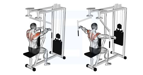 Dumbbell Reverse Fly Guide Benefits And Form