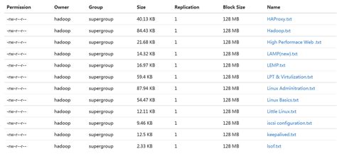 实现一次将多个文件上传到hdfshdfs上传多个文本 Csdn博客