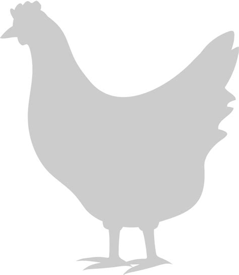 Chicken 36629694 Vector Art At Vecteezy