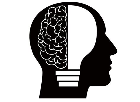 Researchers Model Unihemispheric Sleep In Humans In 2025 Slow Wave Sleep Brain Sleep Dolphins