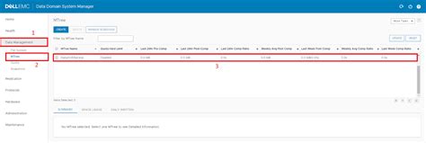pantallazos es emc datadomain configurar y habilitar ddboost