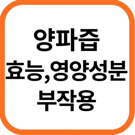 양파즙 효능 및 영양성분 부작용