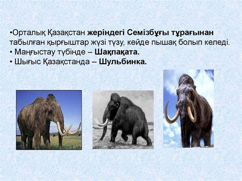 «Қазақстан тарихына» кіріспе - презентация онлайн